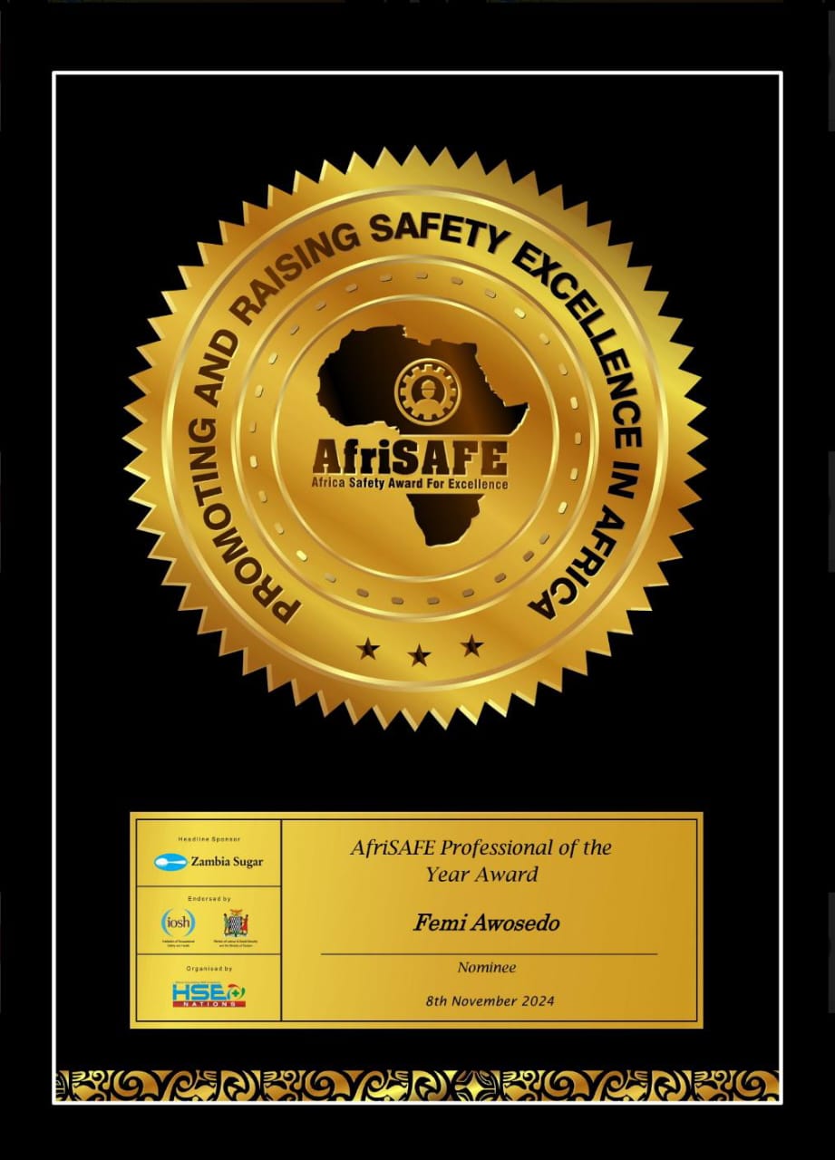 Afrisafe Professional of the Year award - BritechPlus+